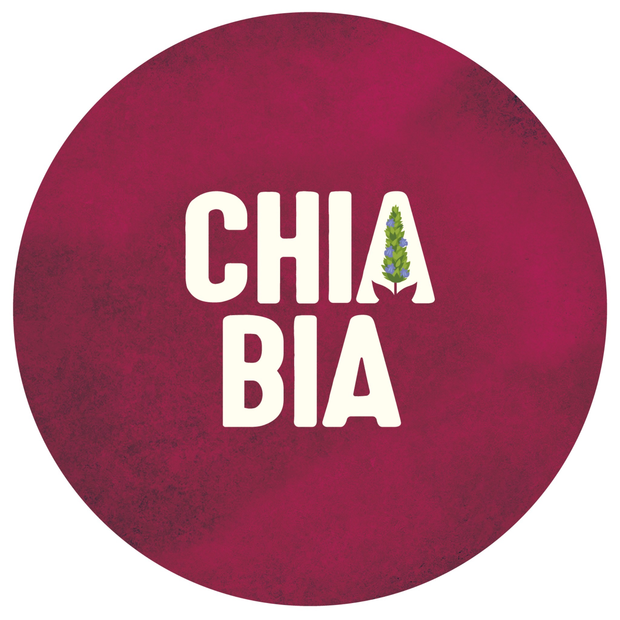 Chia Bia Whole Chia Seeds Sachets 10 x 15g (150g) | Really Good Culture